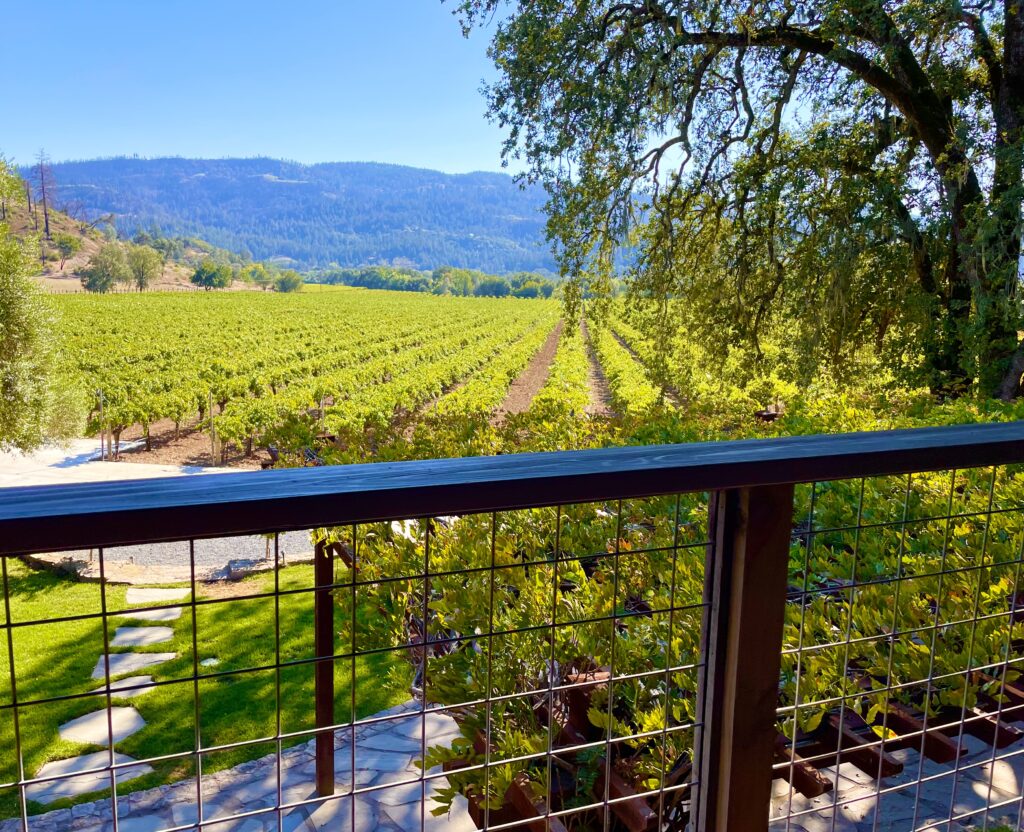 Reasons to Visit Napa Valley Wine Country in Spring - Windsor Wine Tours