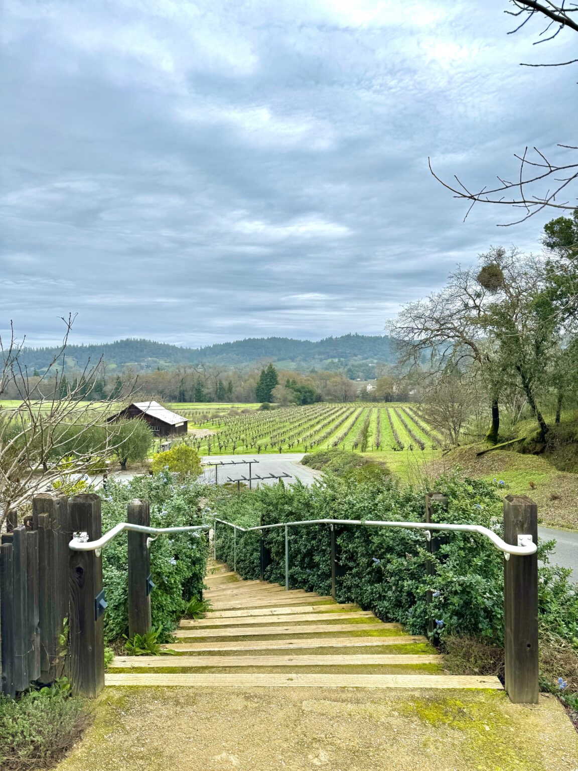 15 Beautiful Wineries in Sonoma County - Windsor Wine Tours