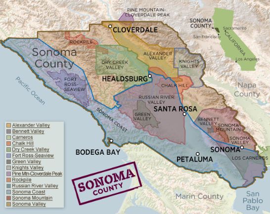 7 Travel Planning Tips for Sonoma County Wine Country - Windsor Wine Tours